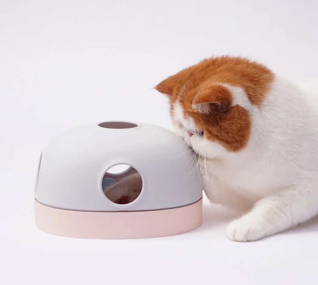 Makesure Hola Cat Toy - Pet Barn