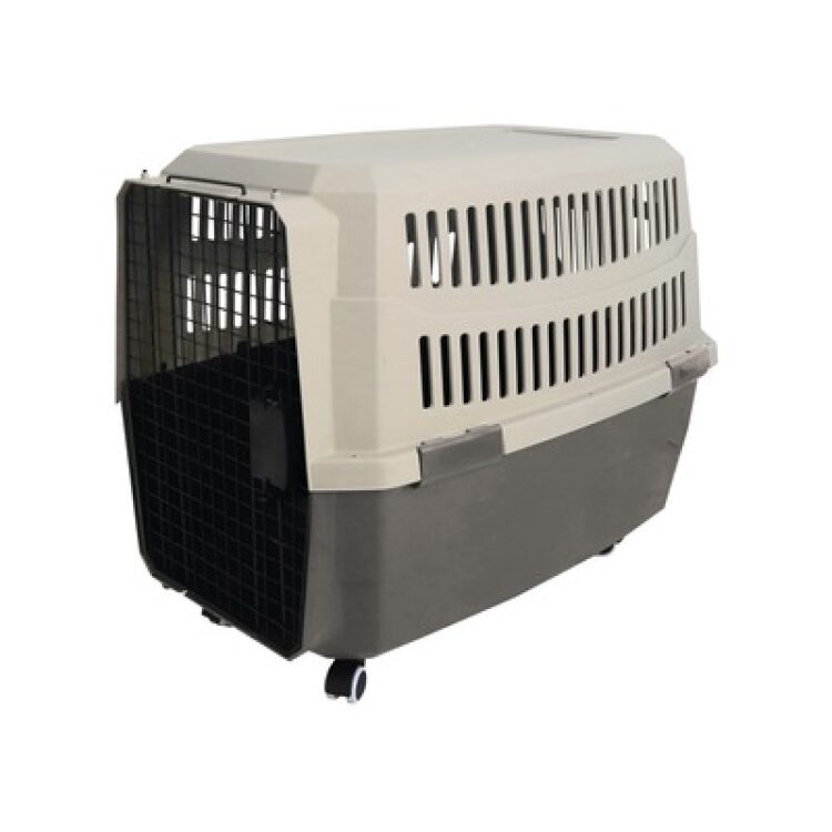 Best Pet Store in Kuwait - Shop your pet supplies from Petbarn Kuwait