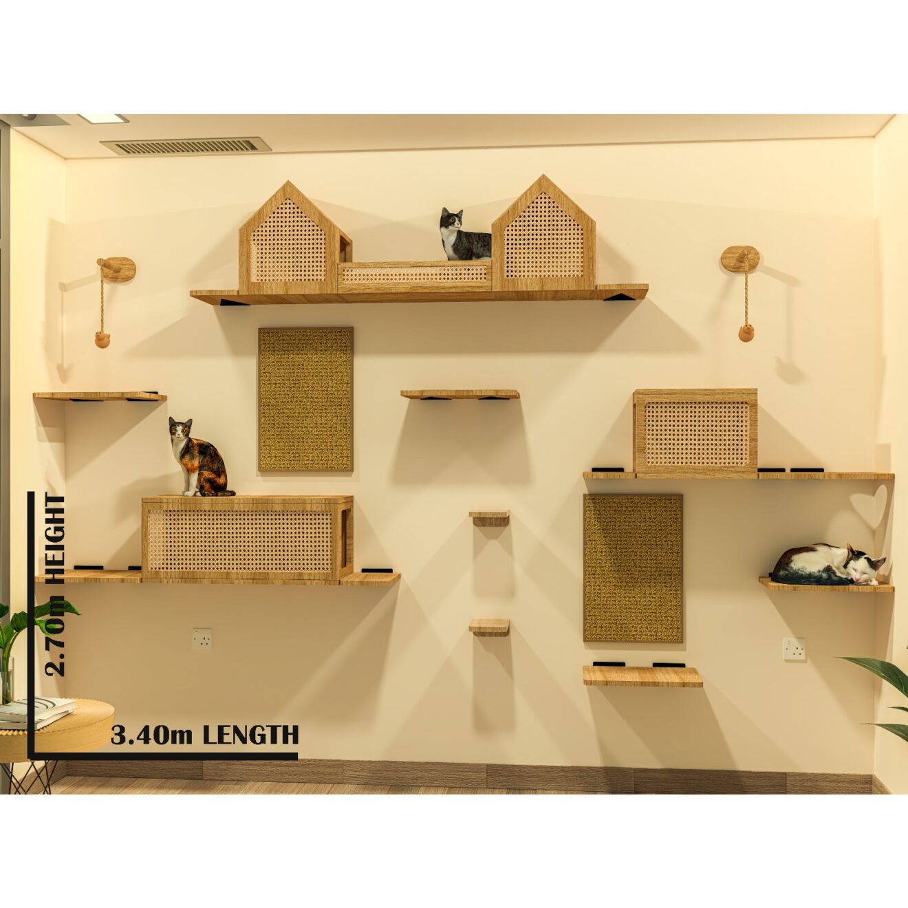 Cat Wall Designs - Pet Barn
