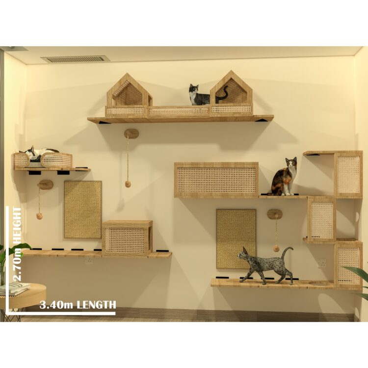 Cat Wall Designs Archives - Pet Barn