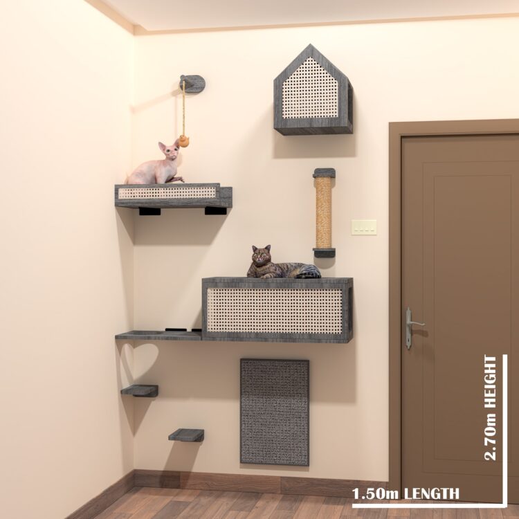 Cat Wall Designs Archives - Pet Barn