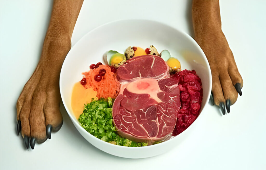 From Forbidden Treats to Safe Snacks: Understanding the Guidelines for ...