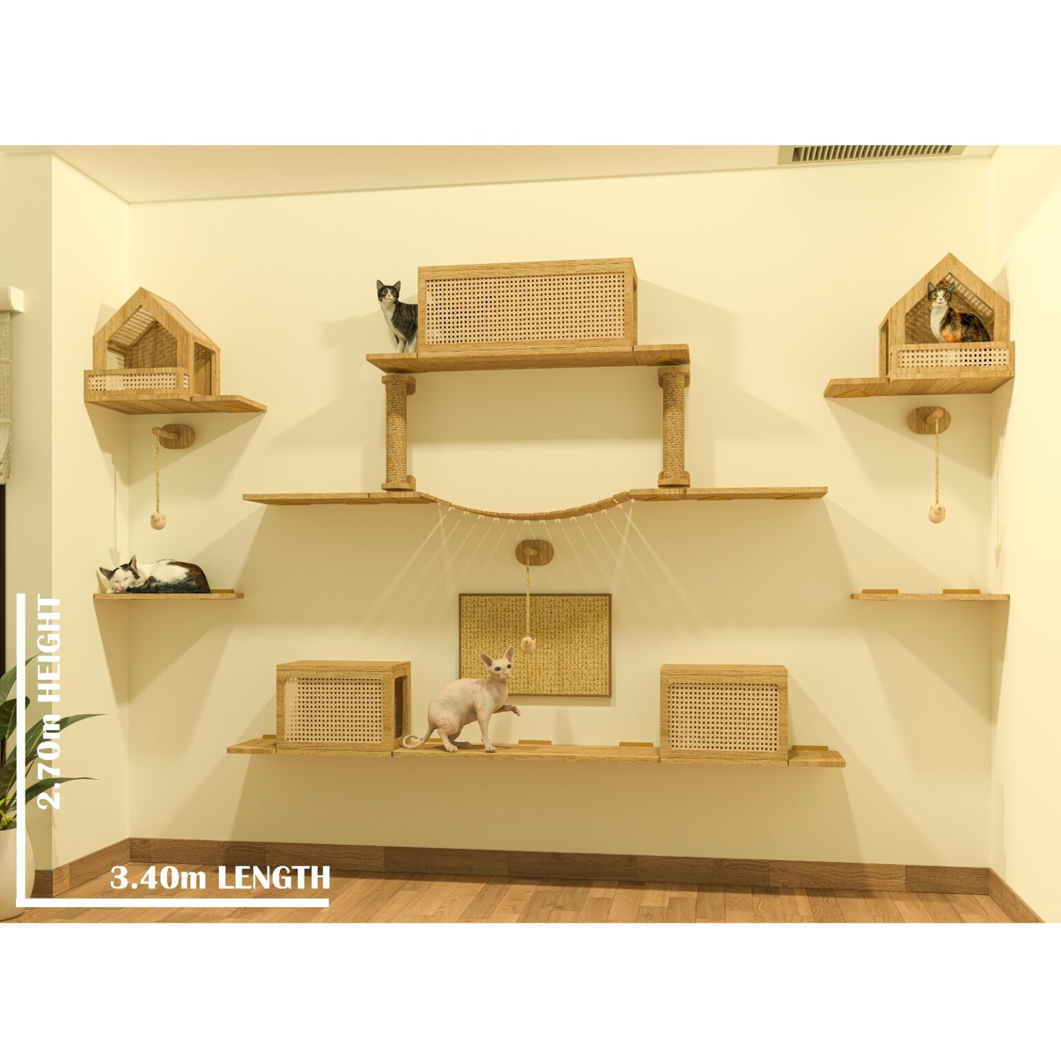 Cat Wall Designs - Pet Barn