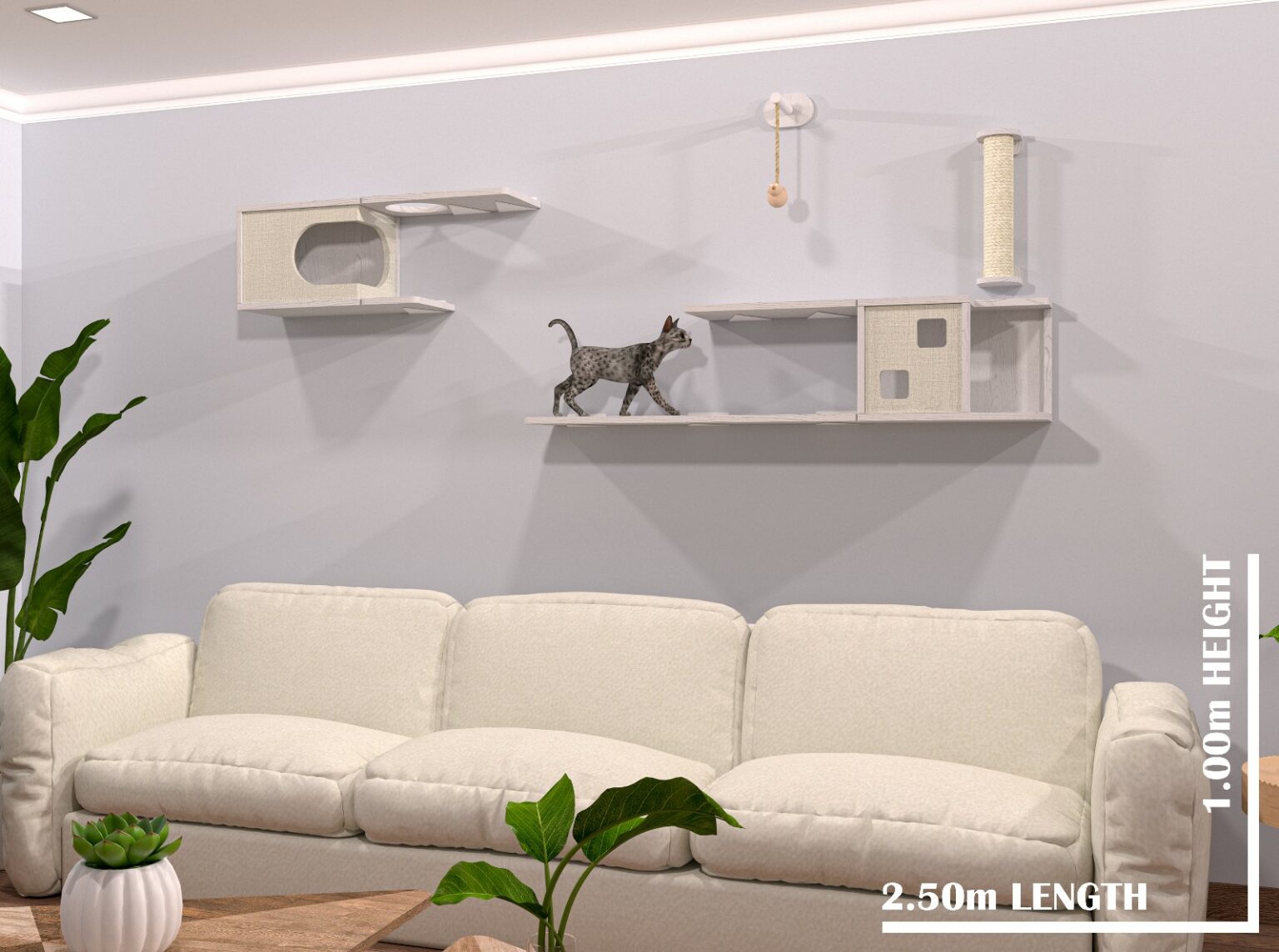 Cat Wall Designs - Pet Barn