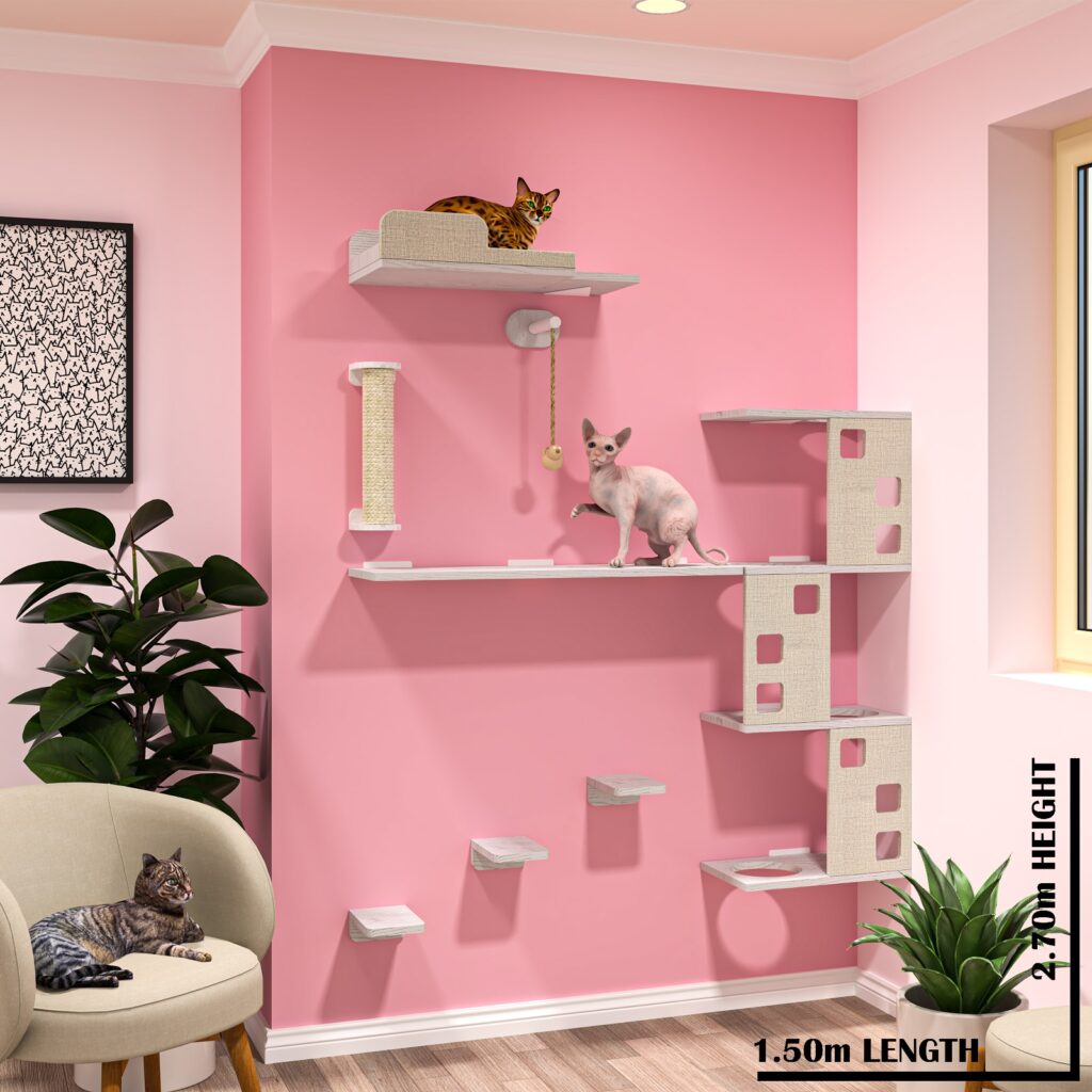 Cat Wall Designs - Pet Barn