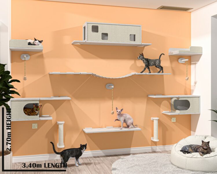 Cat Wall Designs - Pet Barn