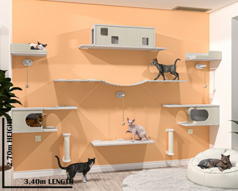 Cat Wall Designs - Pet Barn