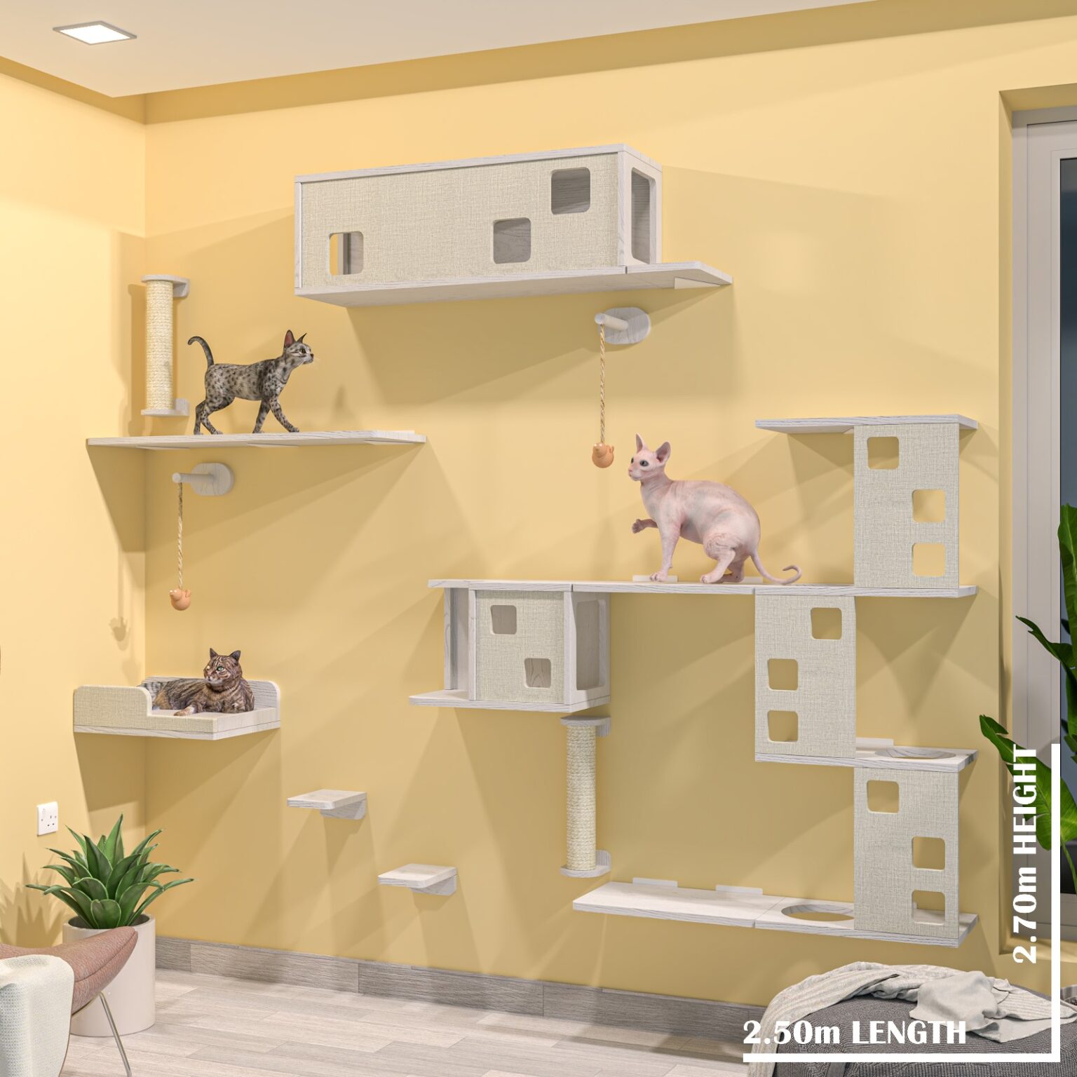 Cat Wall Designs - Pet Barn