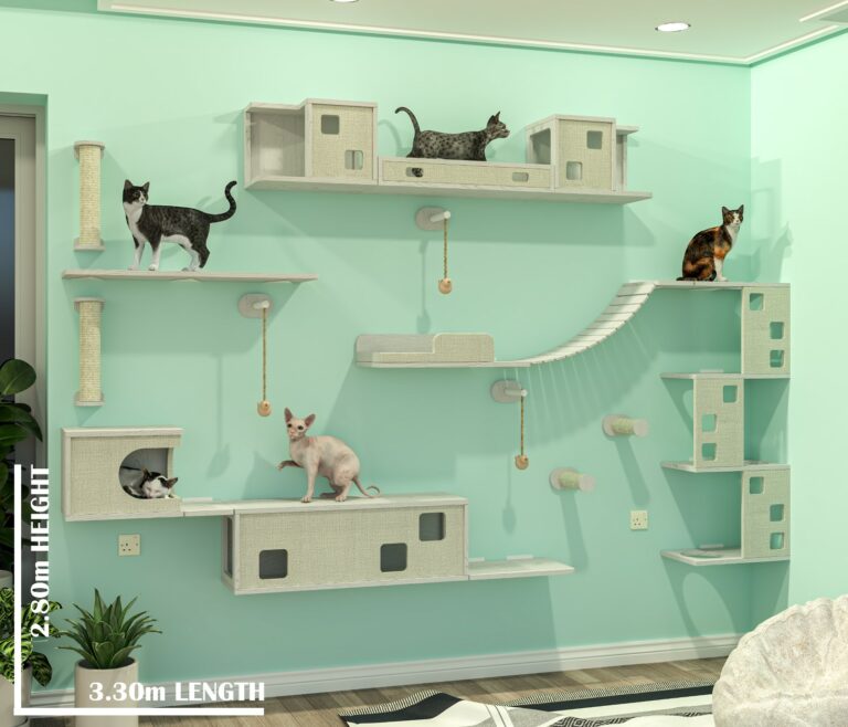 Cat Wall Designs - Pet Barn