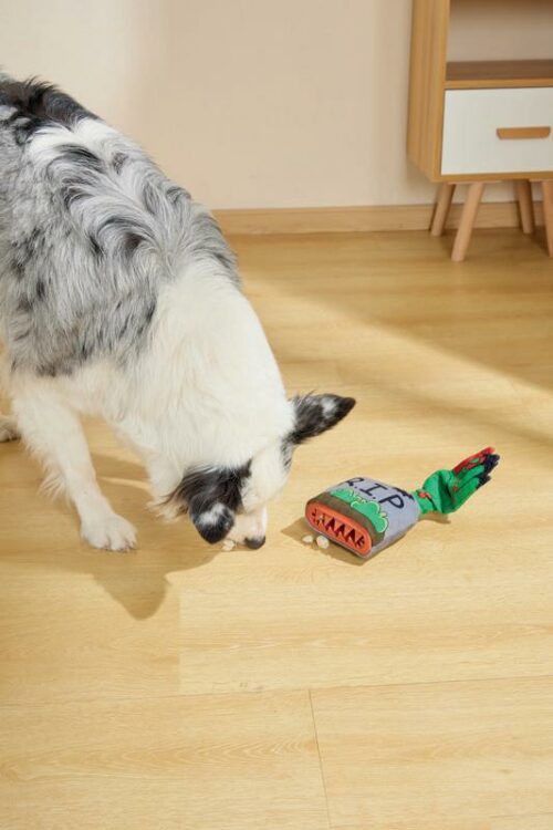 Best Pet Store in Kuwait - Shop your pet supplies from Petbarn Kuwait