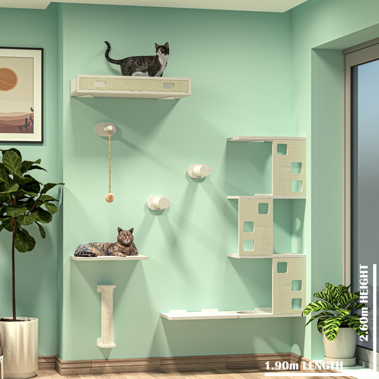 Cat Wall Designs - Pet Barn