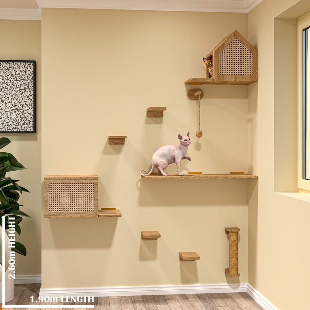 Cat Wall Designs - Pet Barn