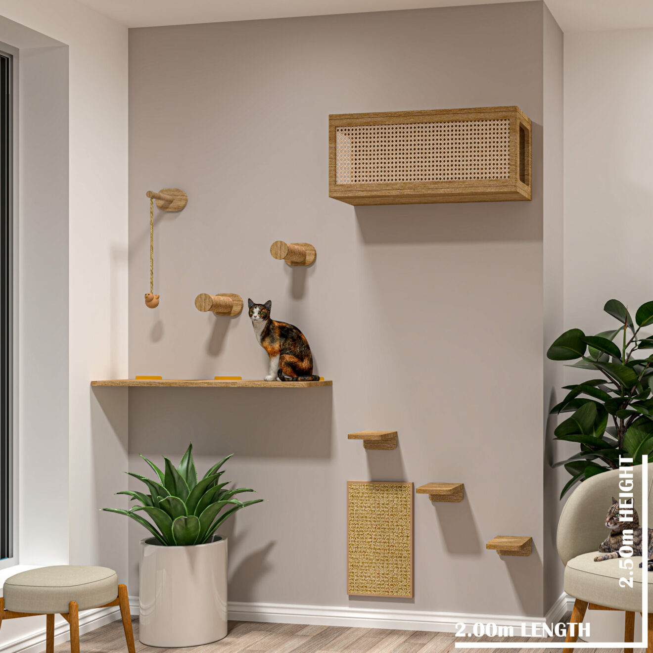 Best Pet Store in Kuwait - Shop your pet supplies from Petbarn Kuwait